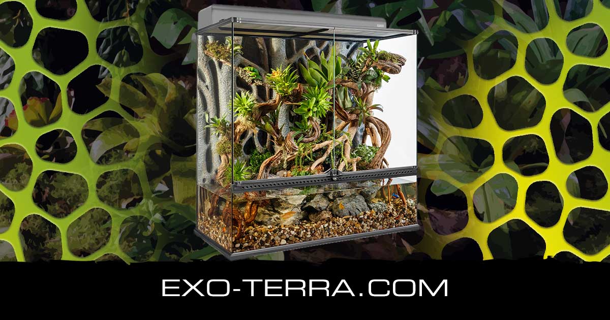 Natural Terrarium Large X-Tall