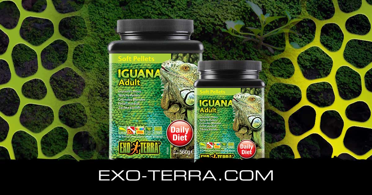 Soft Pellets Adult Iguana Food 19.7 oz - 560g