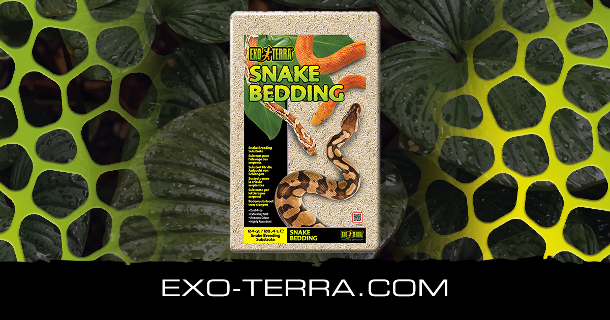 Snake Bedding 4QT - 4,4L