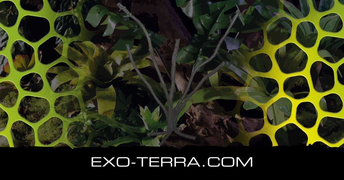 Jungle Tree Large
