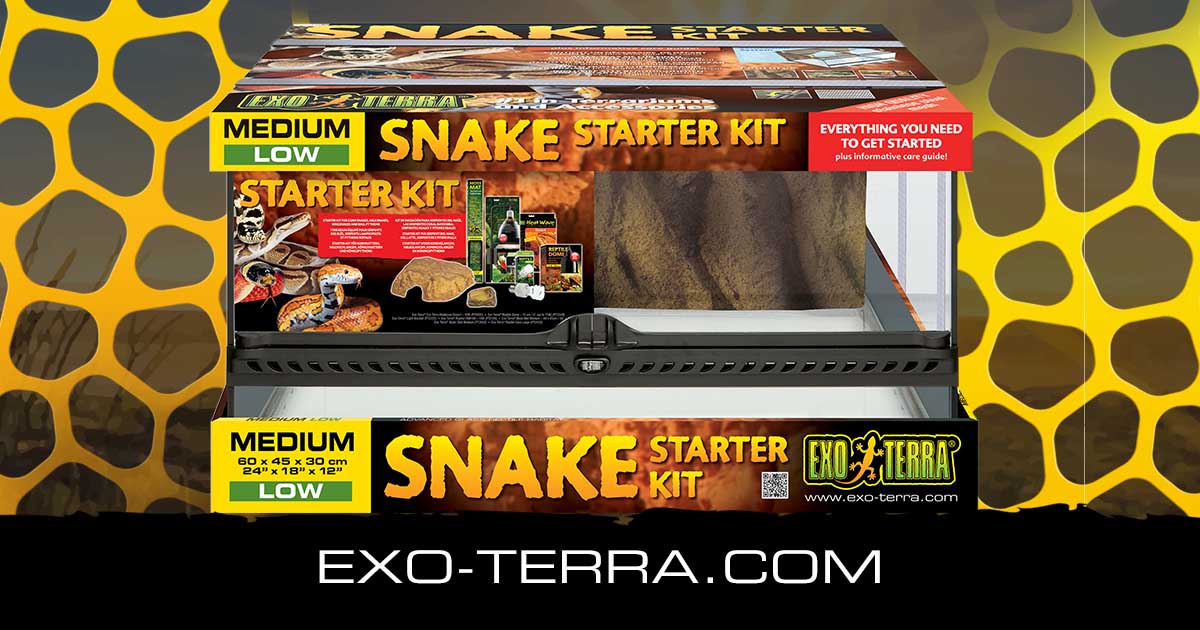 Snake Starter Kit