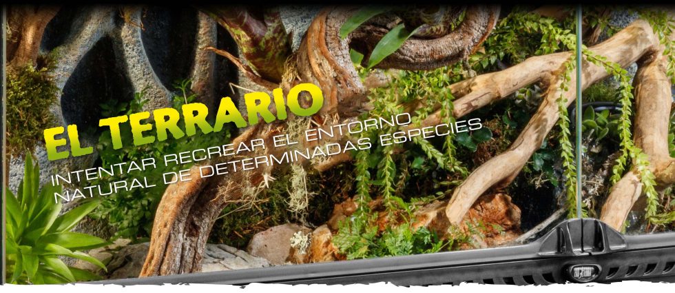 Tipos De Terrarios - Exo Terra ES
