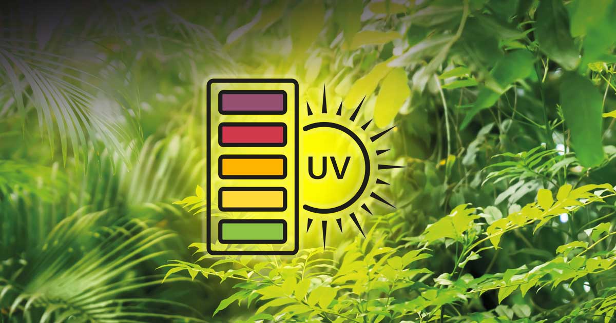 ¿Qué Es La UV-B? - Exo Terra ES