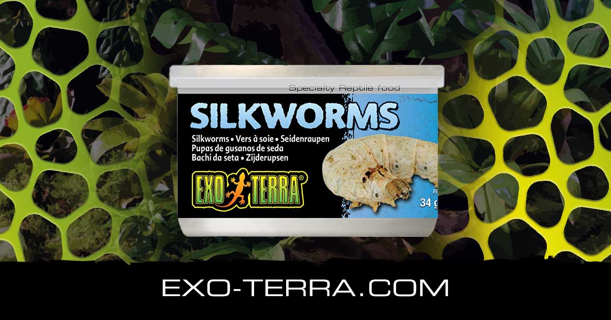 Silkworms 1.2 oz - 34g