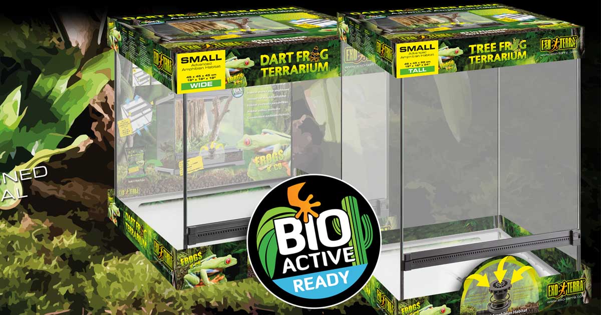 Types De Terrariums - Exo Terra FR