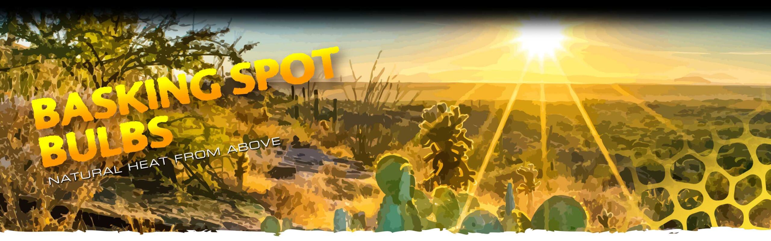 Basking Spot Bulbs - Exo Terra