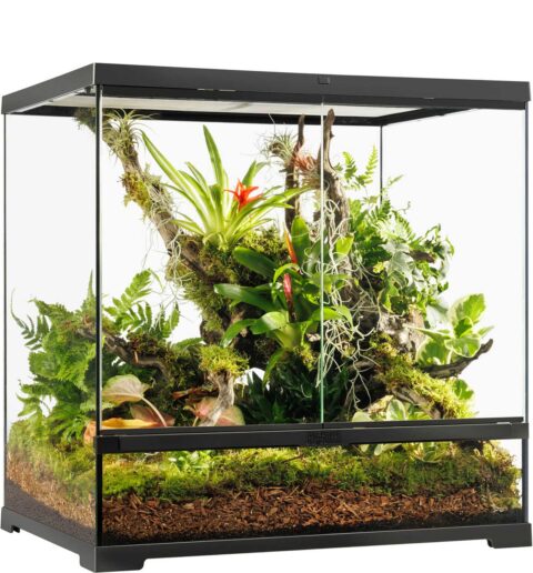 Terrariums - Exo Terra
