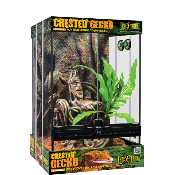 Terrariums - Exo Terra