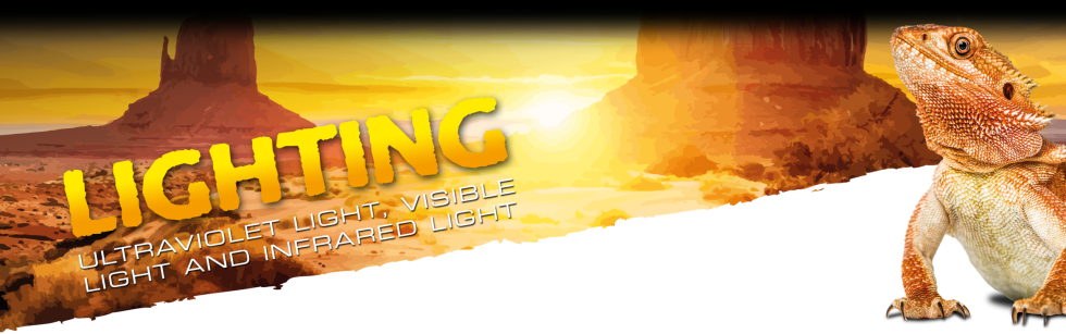 Lighting - Exo Terra