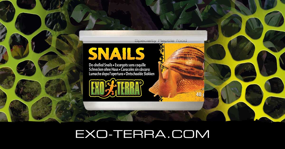 Snails 1.2 oz - 34g
