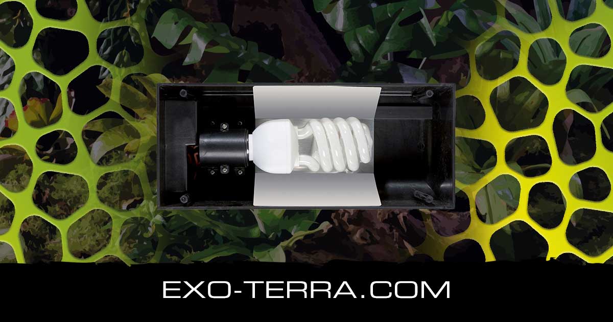 Compact Top Mini 6731