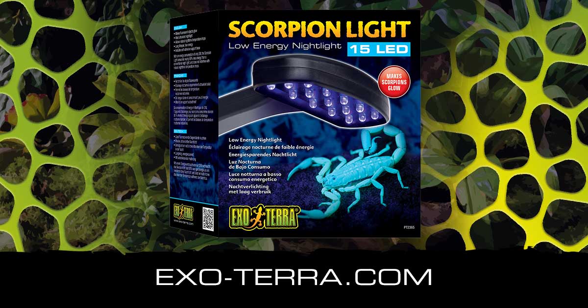 Scorpion Light