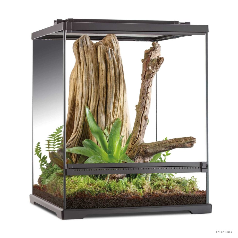 How to set up a bioactive terrarium - Exo Terra