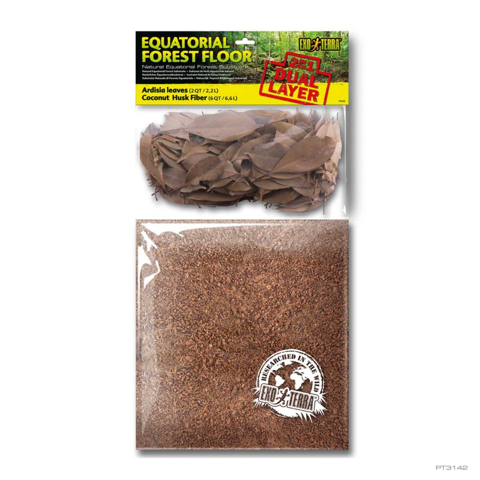 How to set up a bioactive terrarium - Exo Terra