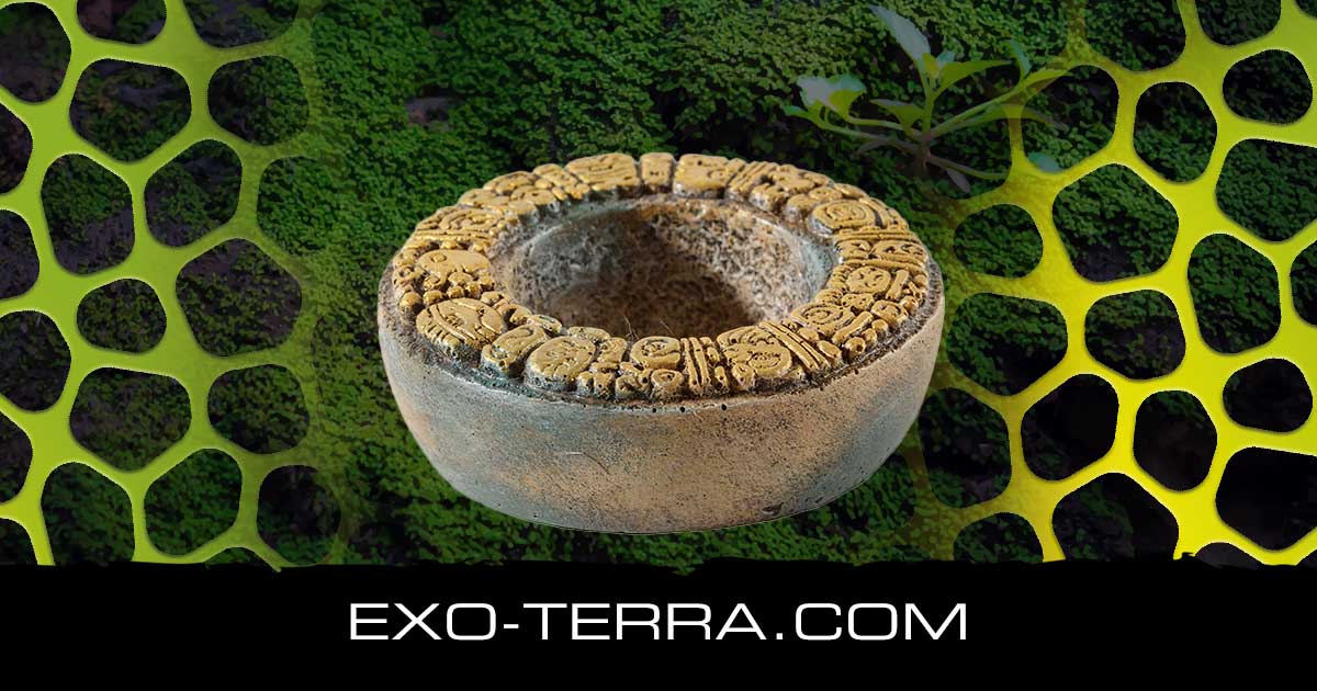 Aztec Water Dish Small
