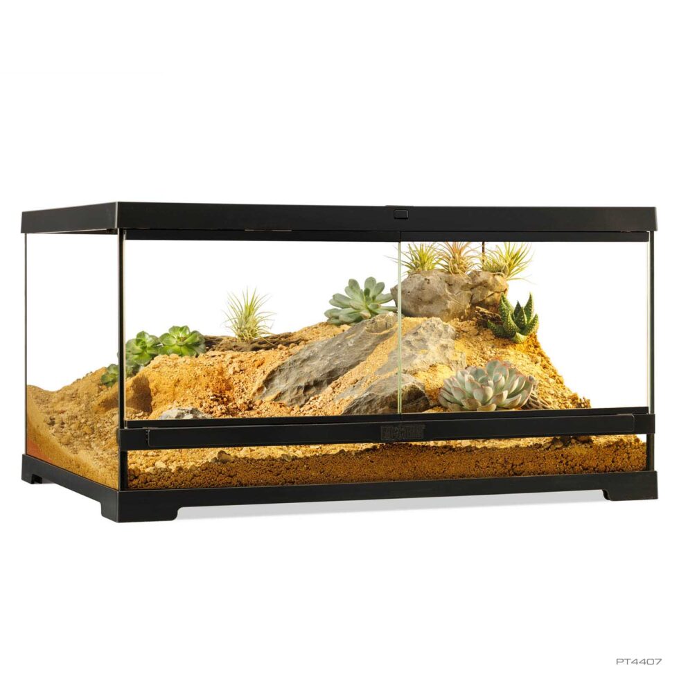 Why use a natural terrarium setup? - Exo Terra