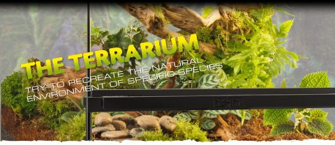 Terrarium Types - Exo Terra