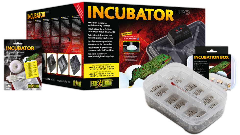 Incubator Pro