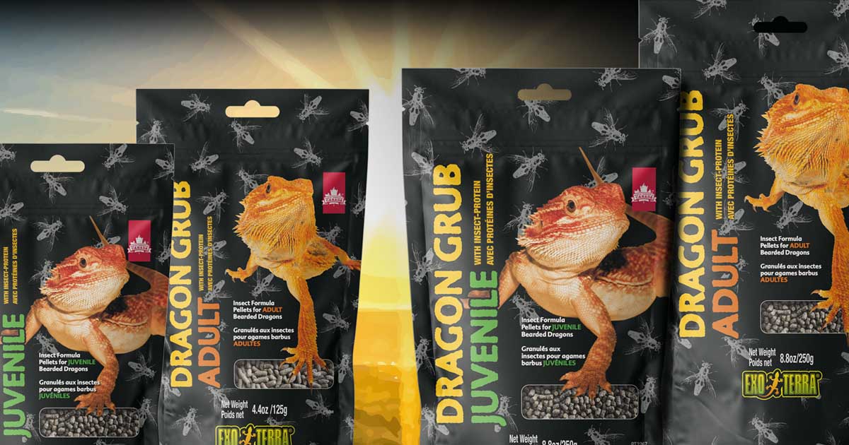 Insect Based Diets - Exo Terra