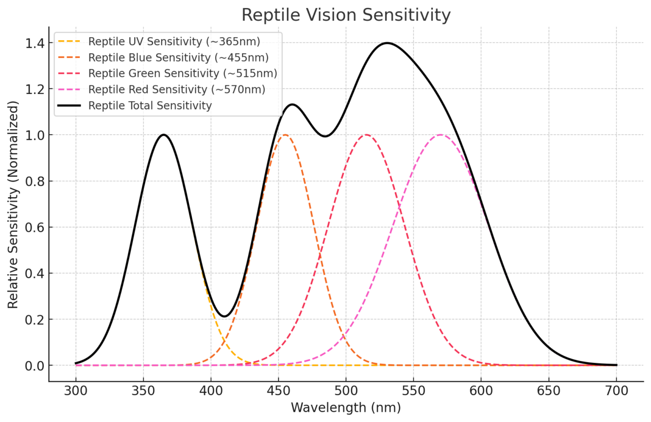 The Role of Visible Light in Reptile Biology - Exo Terra