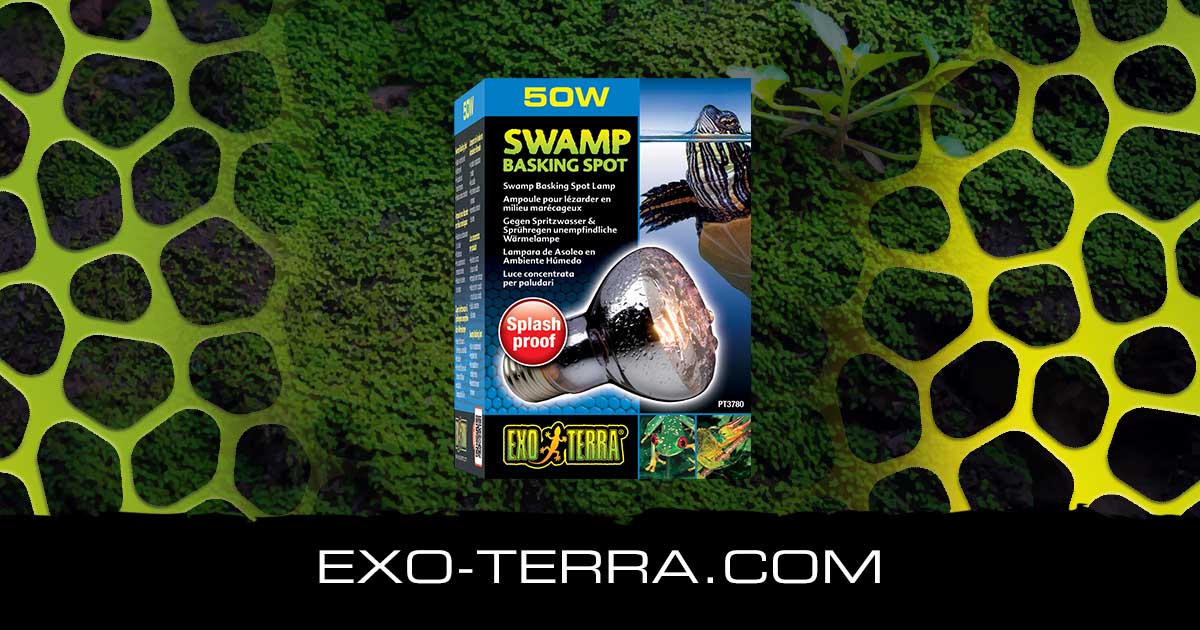 Swamp Basking Spot 50W